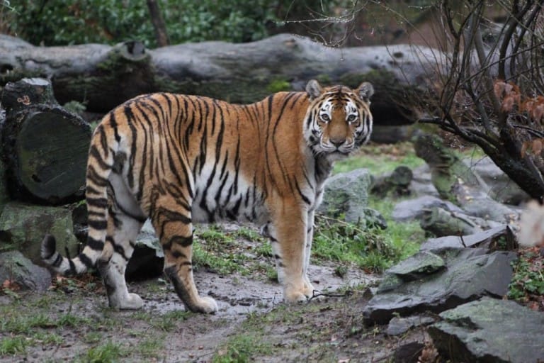 Zoologischer Garten Magdeburg | Zoologischer Garten Magdeburg