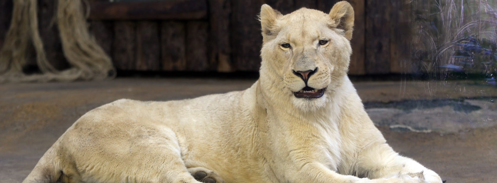 Willkommen im Magdeburger Zoo