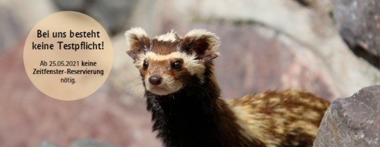 Zoologischer Garten Magdeburg | Zoologischer Garten Magdeburg