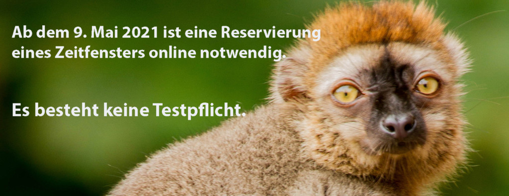 Zoologischer Garten Magdeburg - Zoologischer Garten ...