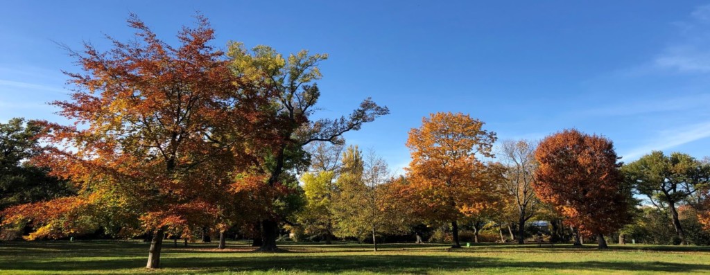Zoologischer Garten Magdeburg | Zoologischer Garten Magdeburg