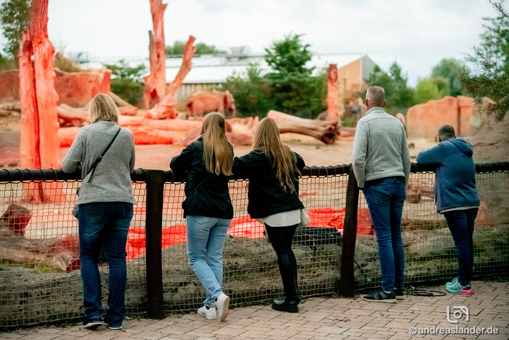 Veranstaltungen | Zoologischer Garten Magdeburg